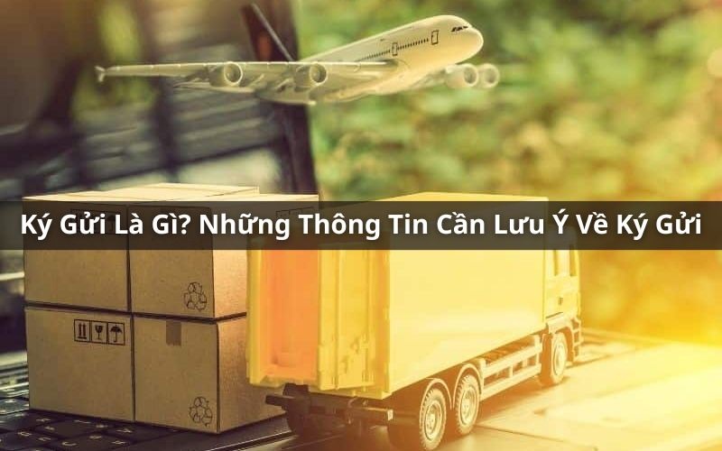 Ký Gửi Là Gì? Thông Tin Cần Biết Về Ký Gửi Hàng Hóa Mới Nhất 2024
