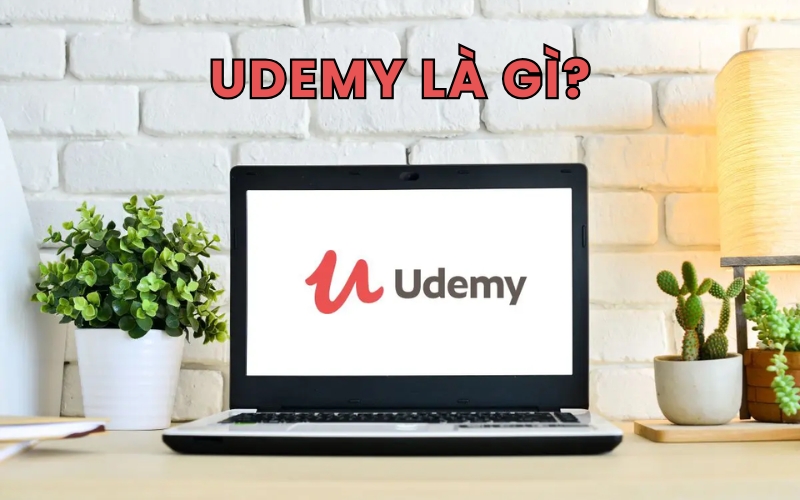 Udemy Là Gì? Ưu Điểm Và Nhược Điểm Của Nền Tảng Udemy
